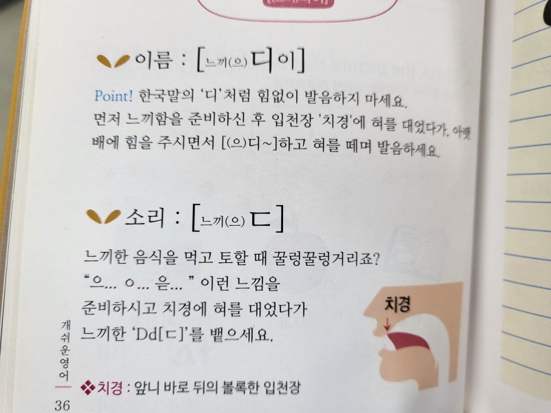 영어 파닉스 뜻 알파벳 A B C D E F G H I J K L M N O P Q R S
