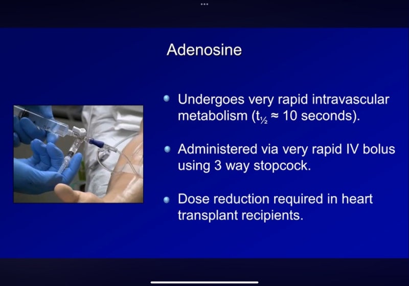 아데노신주 Adenosine 아데노코 약물 효과, 작용 기전 vs Amiodarone 아미오다론 차이 : 네이버 블로그