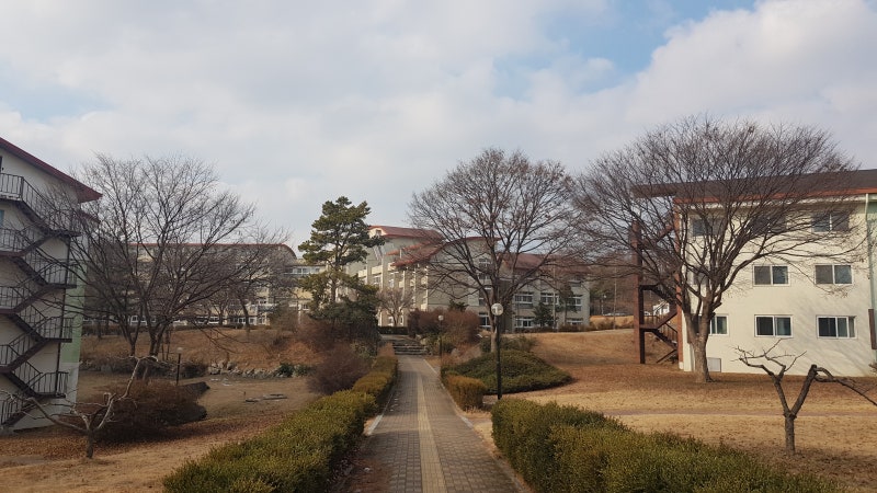942 중앙대학교 중앙대 다빈치캠퍼스 생활관 기숙사 기숙사비 기숙사비용 투어 탐방 가는 길 알아보기 네이버 블로그