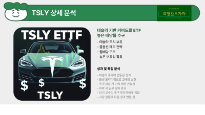 일드맥스 ETF 4가지 종류 TSLY NVDY CONY MSTY 특징 비교 분석(장단점, 주의사항) : 네이버 블로그