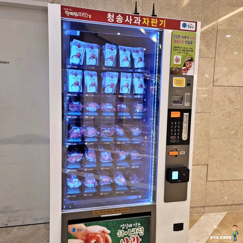 청송 소노벨 리조트 솔샘온천 청송 가볼만한곳 여행 숙소 후기 네이버 블로그