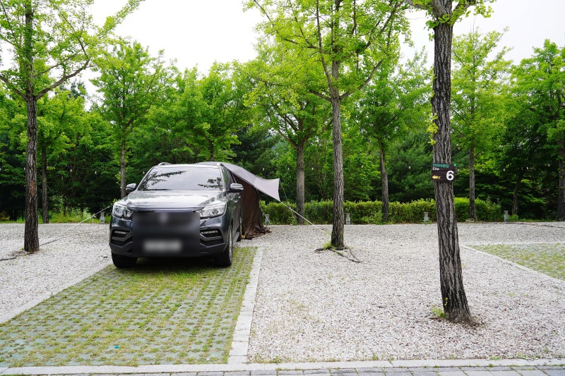 한탄강 오토캠핑장 이용 예약 및 명당 후기 네이버 블로그
