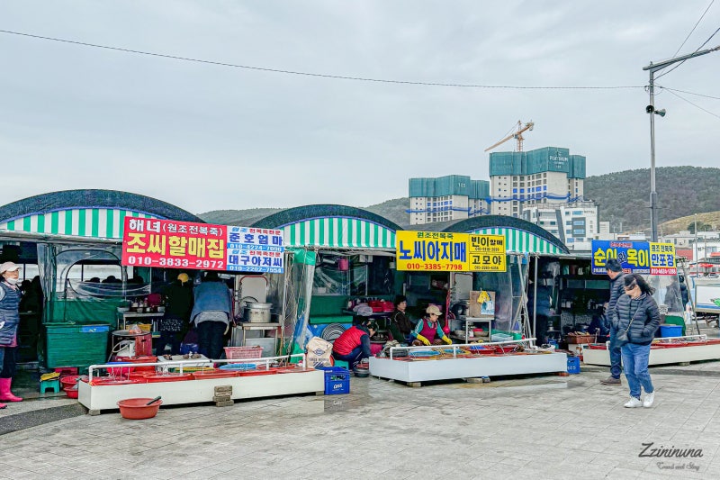 부산 기장 가볼만한곳 기장 연화리 해녀촌 맛집 추천 포장 네이버 블로그