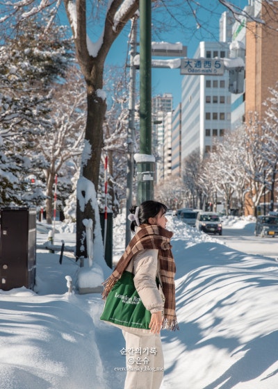 일본 삿포로 여행 일정☃️ 겨울 3박 4일 코스 And 삿포로 항공권 가격 네이버 블로그