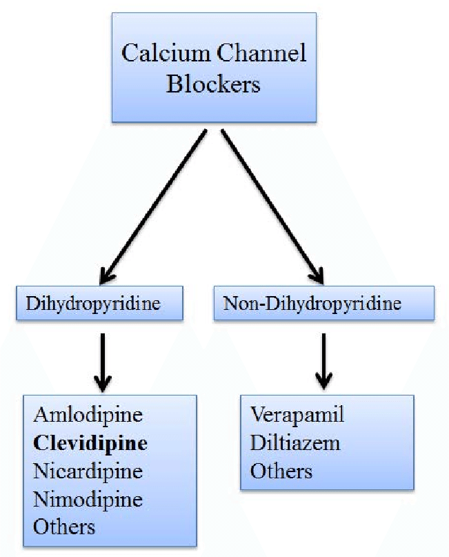칼슘채널차단제(calcium channel blocker, CCB)의 모든 것: 의료인을 위한 완벽 가이드 : 네이버 블로그