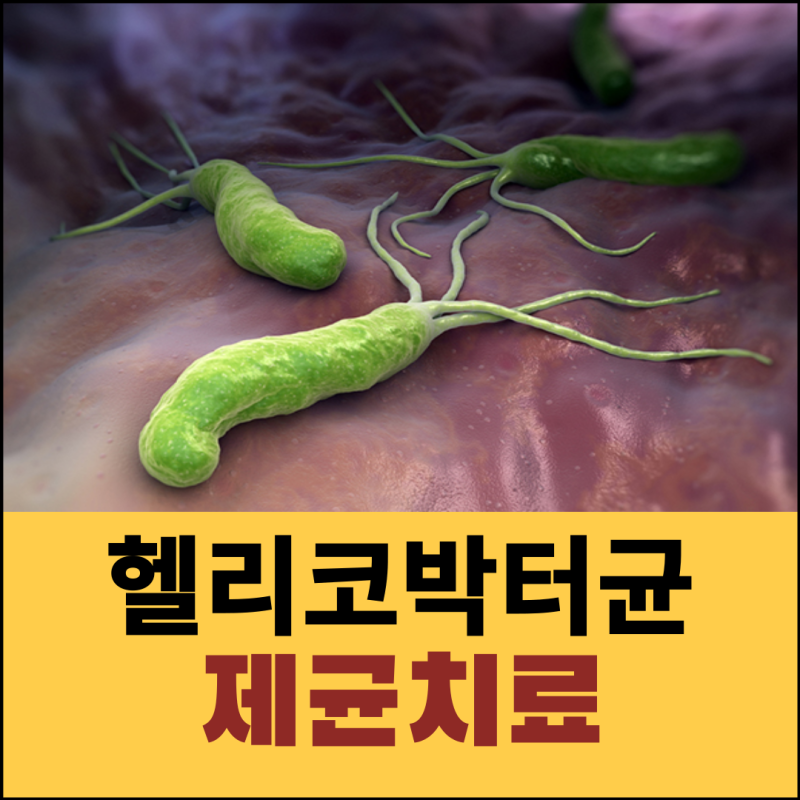 헬리코박터균 제균치료 2차 부작용까지 모든 것 총정리 네이버 블로그