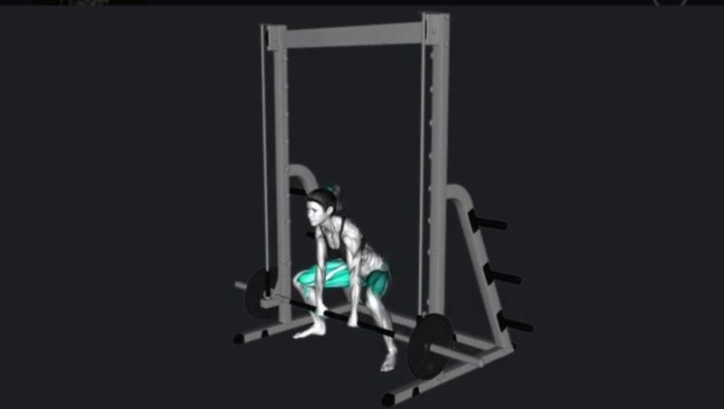 헬스장 운동 기구 이름 총정리 : 네이버 블로그