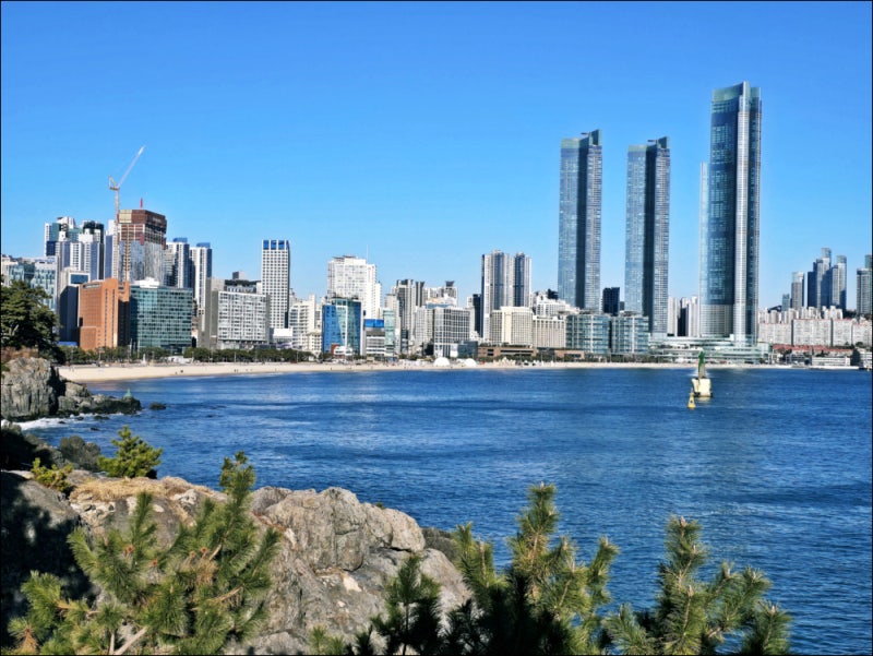 부산 1박2일 여행 기차여행 부산역 짐보관 부산 해운대 여행 동백섬 해수욕장 부산 돼지국밥 야시장 먹거리 네이버 블로그