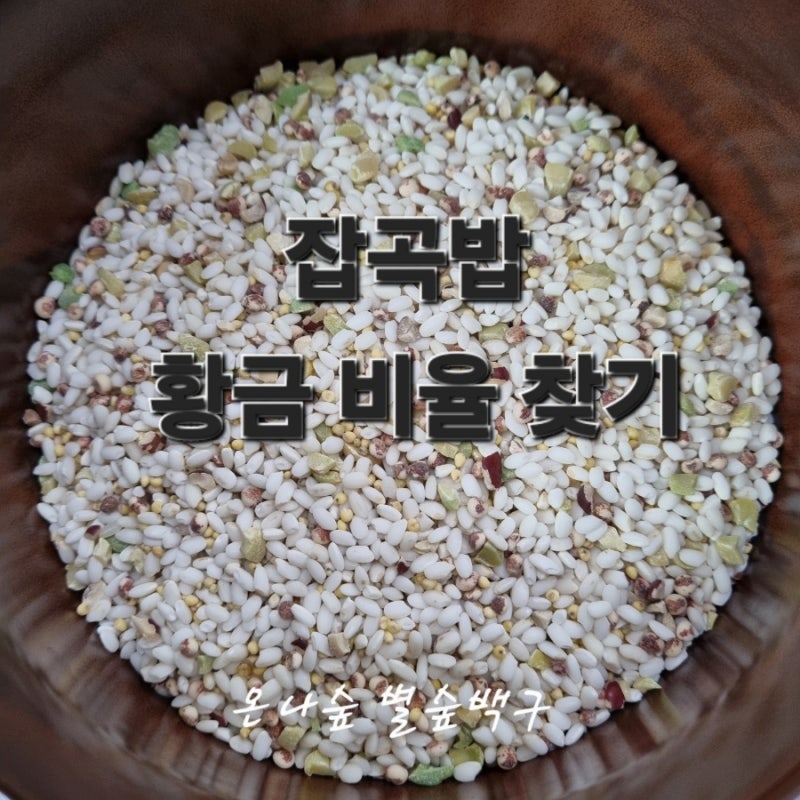 잡곡밥 제대로 하는 법 잡곡밥 황금비율 찾기 : 네이버 블로그