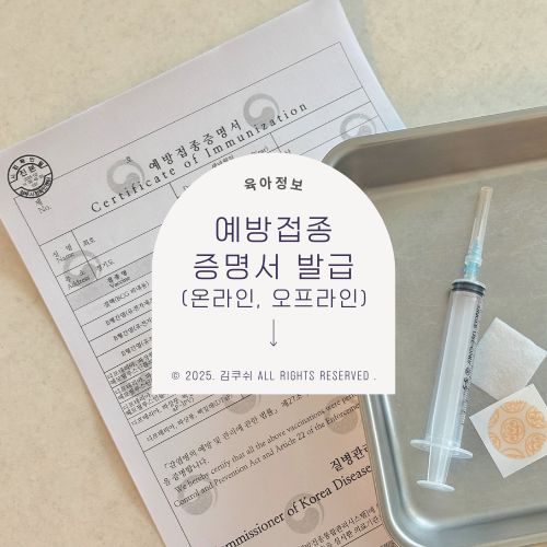 예방접종증명서 발급어린이집 입소서류 유치원 입학 기관제출 네이버 블로그