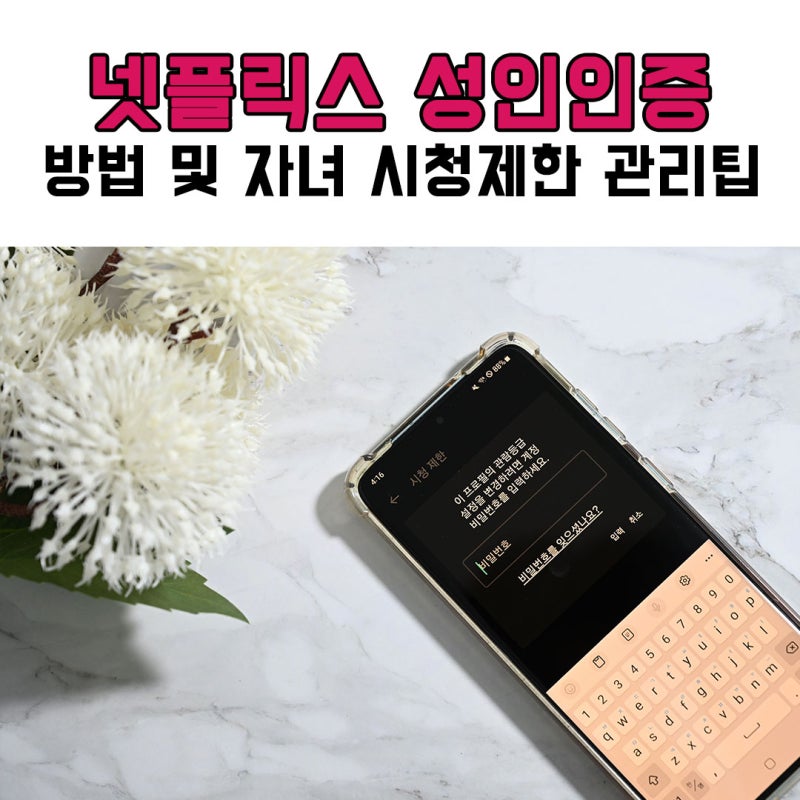 넷플릭스 성인인증연령인증 방법 및 자녀 시청제한 관리팁 네이버 블로그