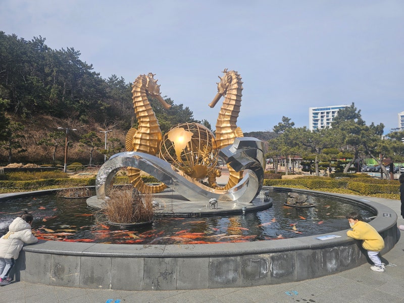부산 기장 국립수산과학관 무료체험 아이랑 실내 가볼만한곳 네이버 블로그