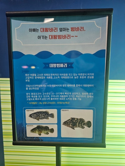 부산 기장 국립수산과학관 무료체험 아이랑 실내 가볼만한곳 네이버 블로그