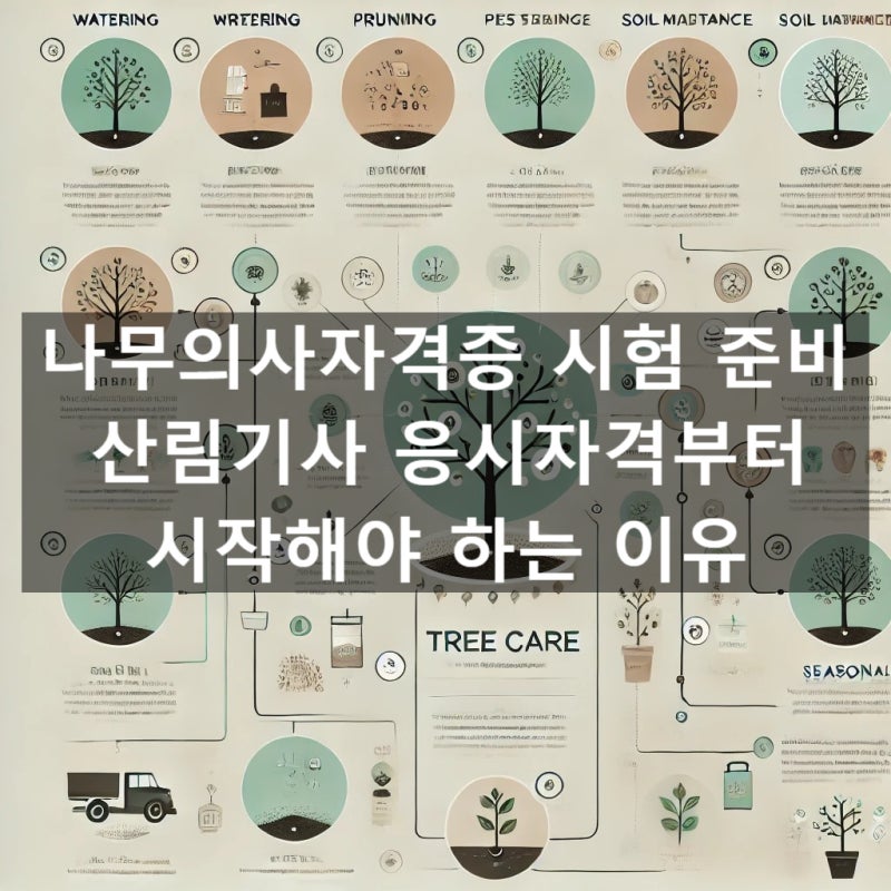나무의사자격증 시험 준비 산림기사 응시자격부터 시작해야 하는 이유 네이버 블로그