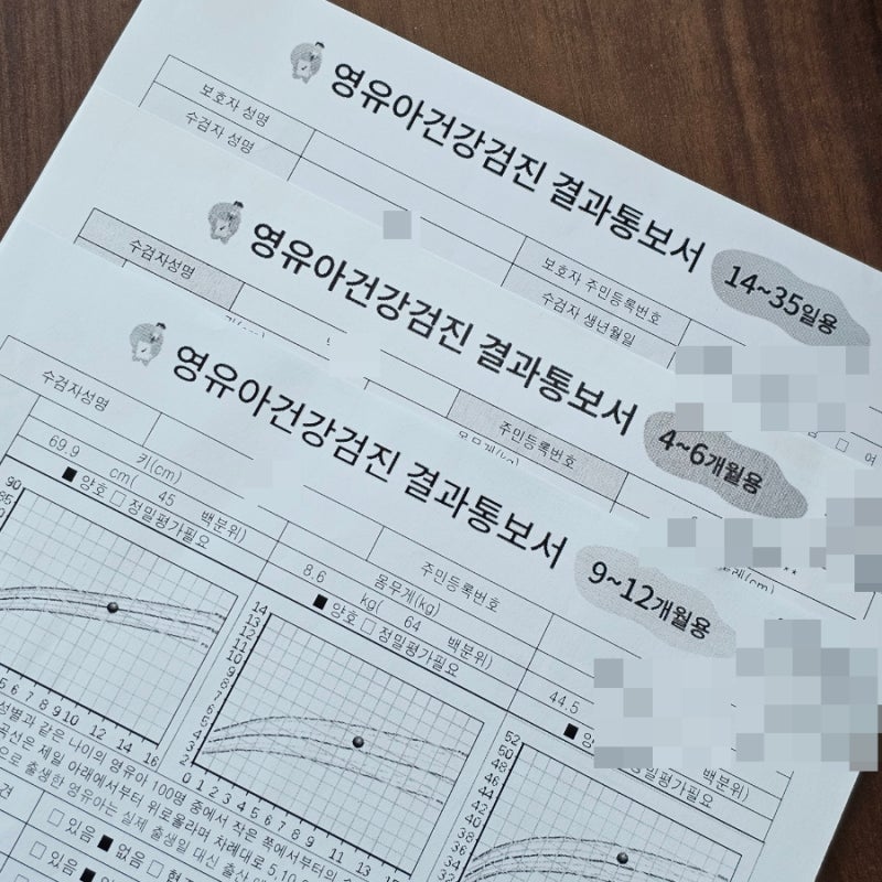 영유아검진표 출력 영유아건강검진 시기 확인 방법 어린이집 입소 준비물 인터넷발급 네이버 블로그