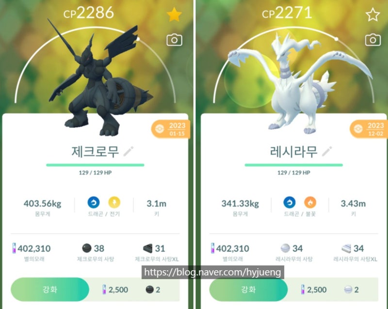 포켓몬고 블랙큐레무 화이트큐레무 졸업스킬 레이드 약점 합체 방법 공략 네이버 블로그