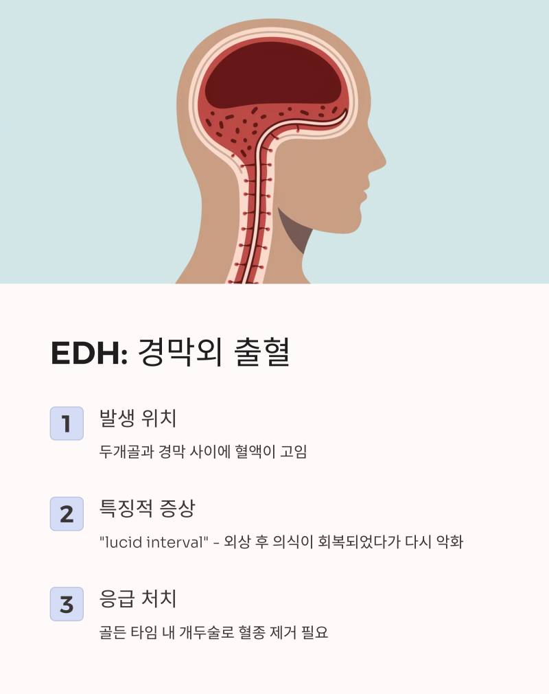 다섯가지 뇌출혈 유형 완벽 분석: SDH, EDH, SAH, ICH, IVH 정의 총정리 : 네이버 블로그
