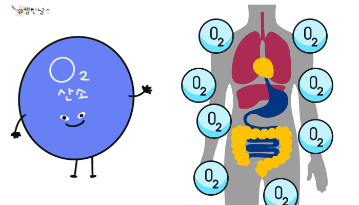 산소 수치 SpO2, SaO2, PaO2의 개념과 원리 그리고 각각의 차이점 : 네이버 블로그