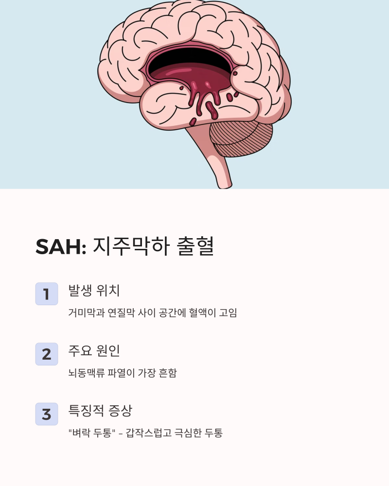 다섯가지 뇌출혈 유형 완벽 분석: SDH, EDH, SAH, ICH, IVH 정의 총정리 : 네이버 블로그