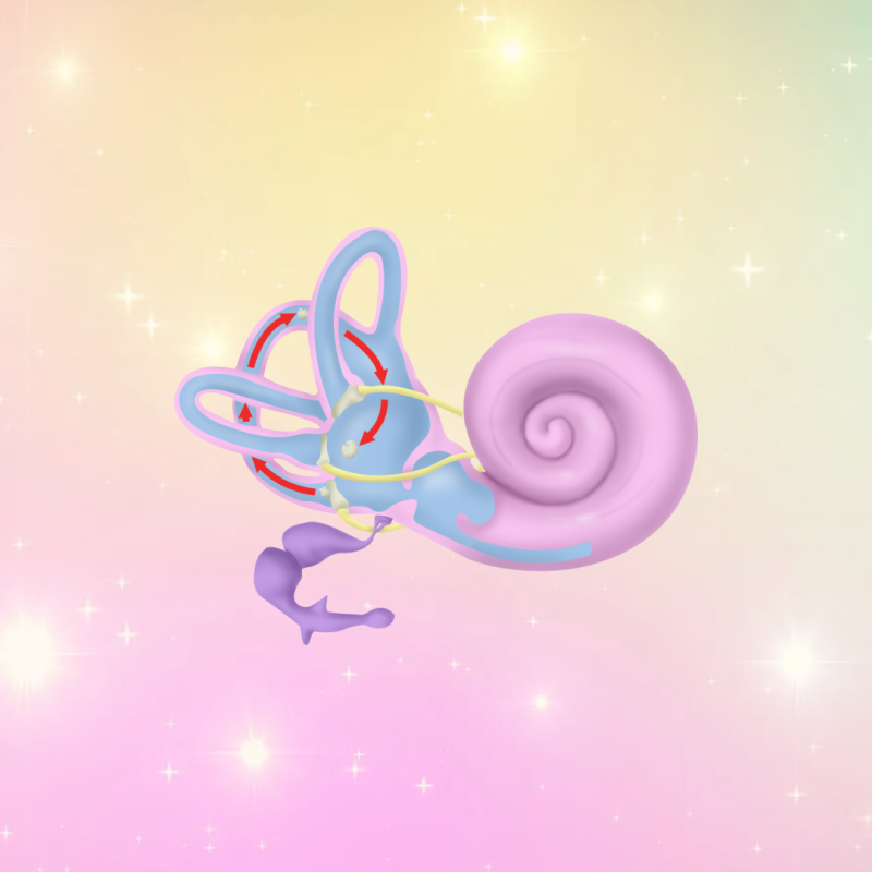 이석증 원인 증상 치료법 후유증 약 (이석증에 좋은 음식 BPPV) : 네이버 블로그