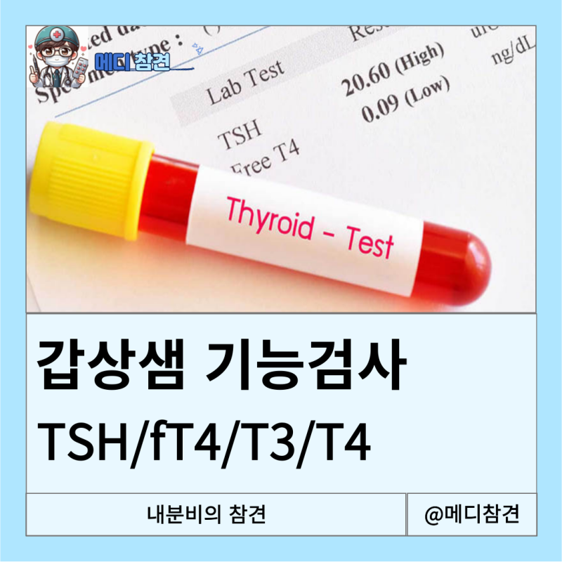 TFT 의학용어 Thyroid Function Test TSH T3 T4 free fT4 : 네이버 블로그