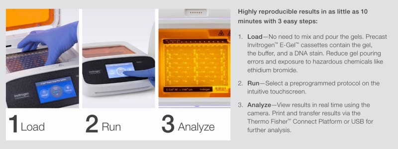 [기초다지기] 전기영동(Electrophoresis) 이란? : 네이버 블로그