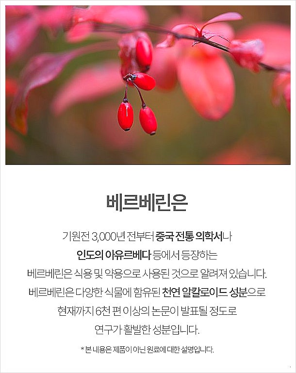베르베린 효능·부작용 총정리 올바른 복용법 공개 네이버 블로그