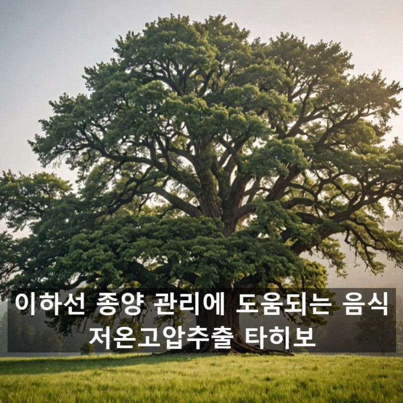 이하선 종양 절제술 수술 전후 관리법 증상부터 회복까지 A To Z 네이버 블로그
