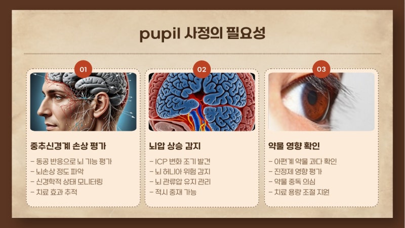 pupil reflex 사정(Prompt, Oval, Pin point, Sluggish, Dilated)의 정의와 임상적 ...