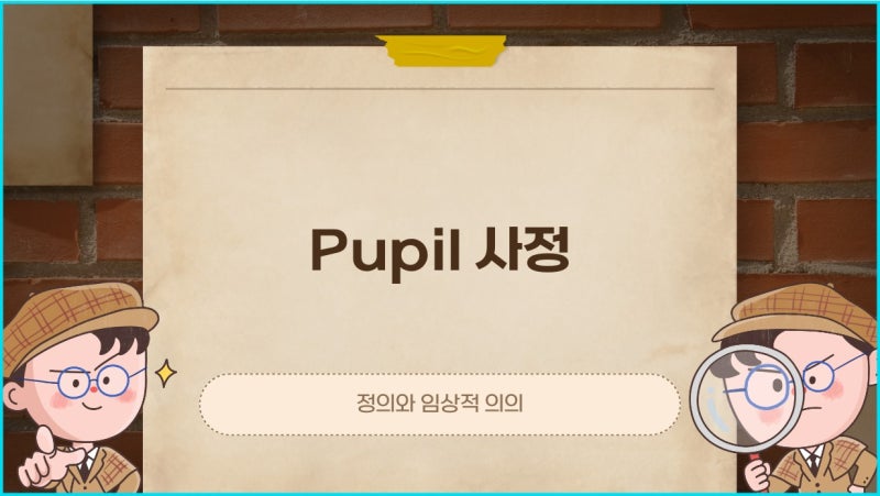 pupil reflex 사정(Prompt, Oval, Pin point, Sluggish, Dilated)의 정의와 임상적 ...