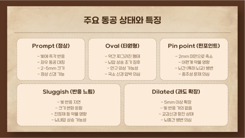 pupil reflex 사정(Prompt, Oval, Pin point, Sluggish, Dilated)의 정의와 임상적 ...