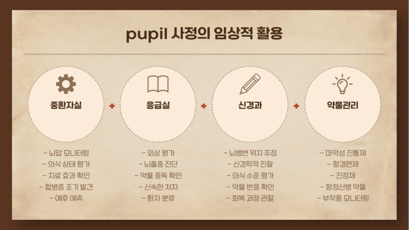 pupil reflex 사정(Prompt, Oval, Pin point, Sluggish, Dilated)의 정의와 임상적 ...