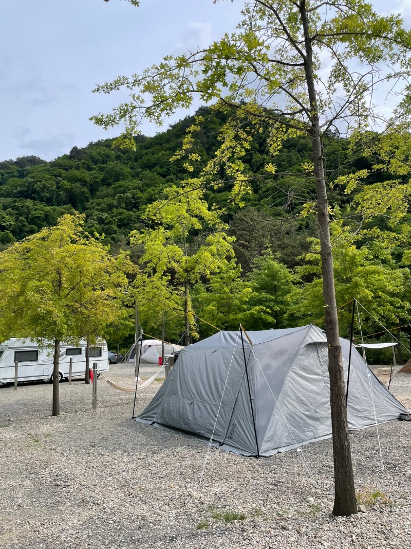 강원도 자연속 캠핑장 봄캠핑장 진동리국민여가캠핑장 예약방법 가격 꿀팁 네이버 블로그