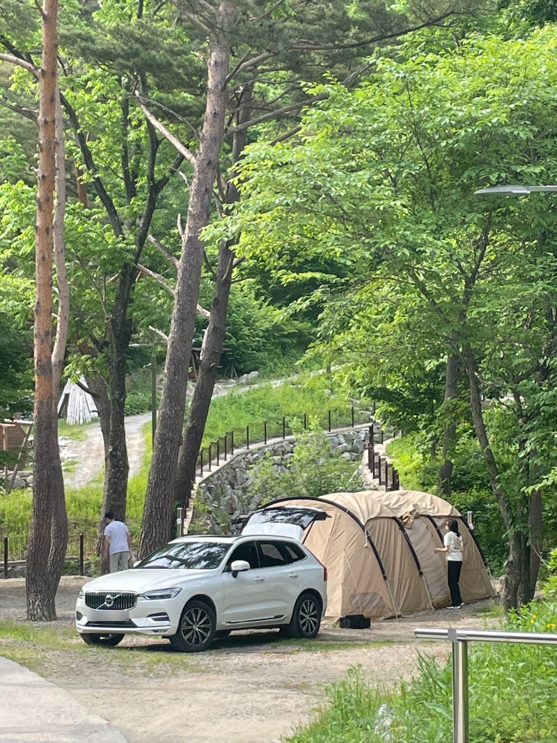 강원도 자연속 캠핑장 봄캠핑장 진동리국민여가캠핑장 예약방법 가격 꿀팁 네이버 블로그