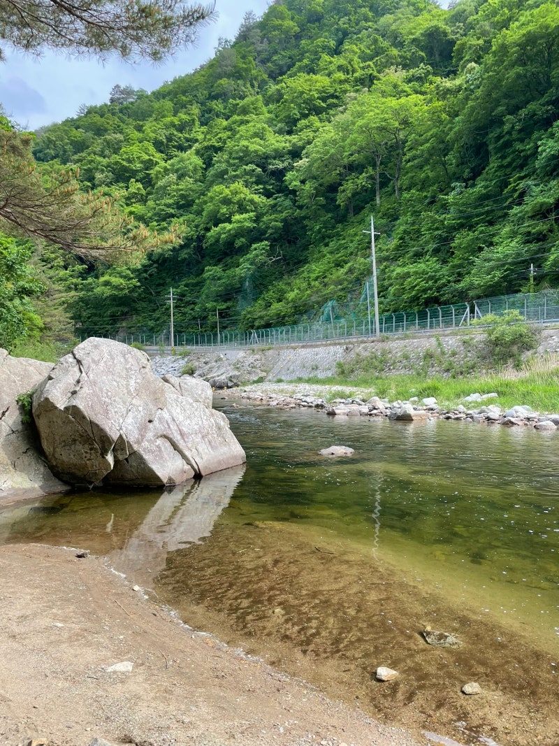 강원도 자연속 캠핑장 봄캠핑장 진동리국민여가캠핑장 예약방법 가격 꿀팁 네이버 블로그