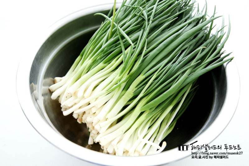 쪽파김치1kg 맛있게 담그는법 양념 파김치 레시피 담그기 네이버 블로그