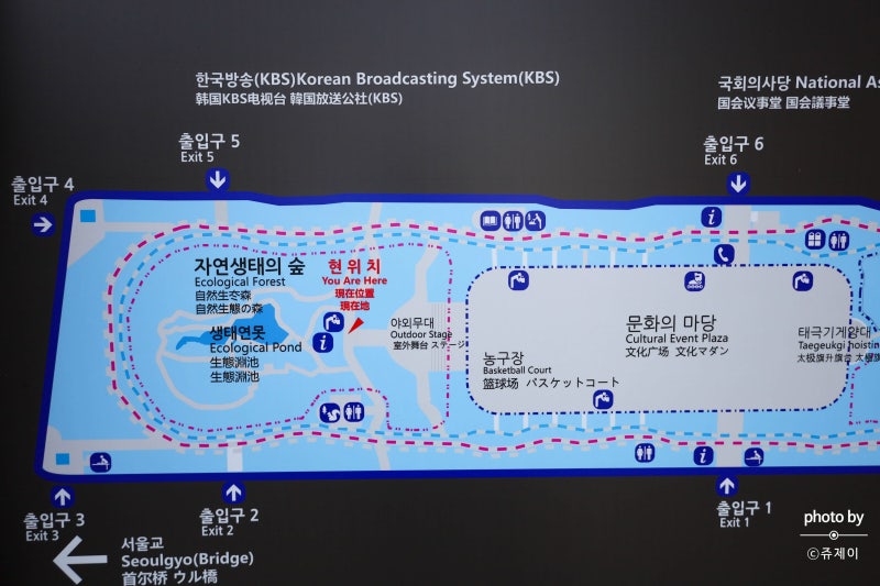 서울 여의도 벚꽃 축제 개화 시기 실시간 윤중로 Kbs 앞 주차 팁 네이버 블로그