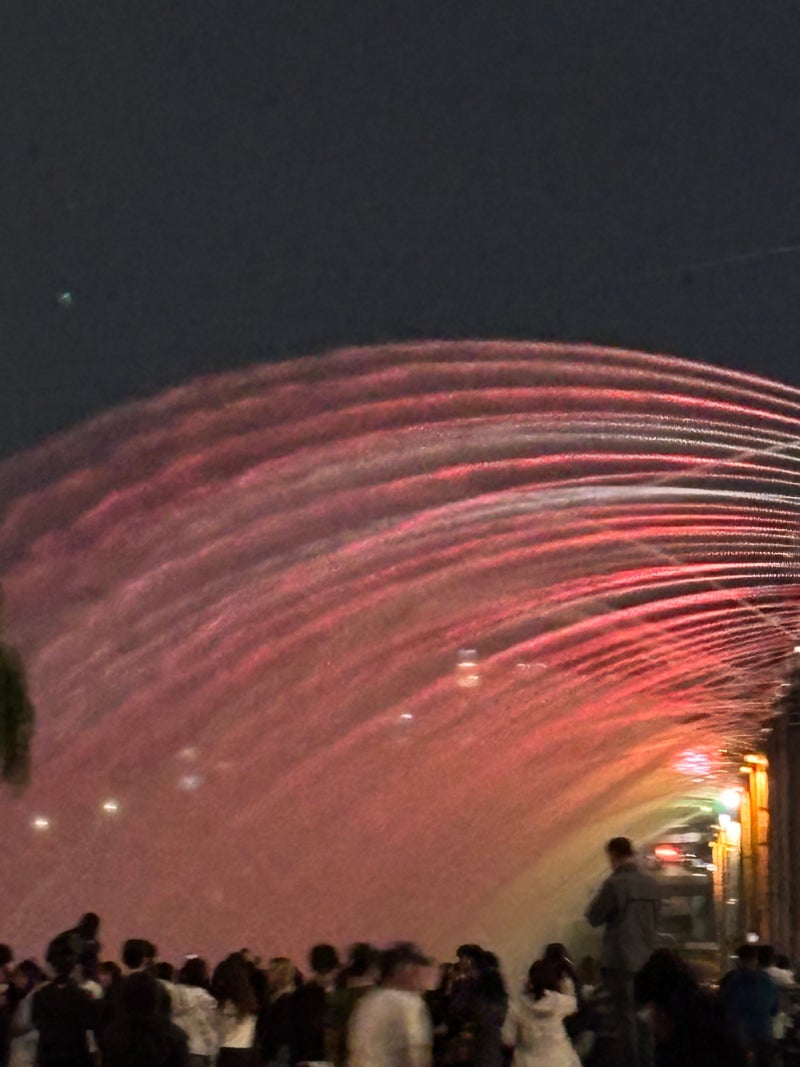 꽃과 사람의 품격 : 네이버 블로그