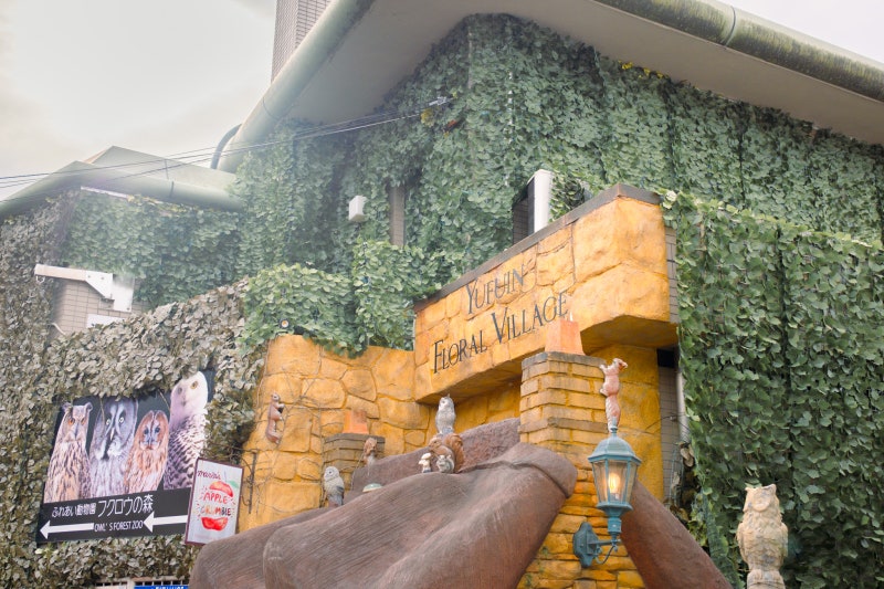 후쿠오카 유후인 벳푸 버스투어 추천 자유여행 비교 후기 : 네이버 블로그