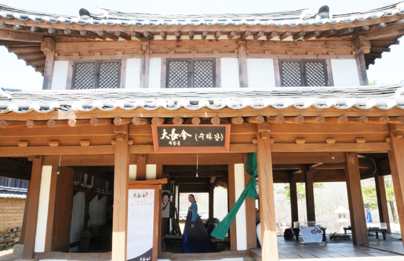 용인대장금파크 입장료 운영시간 애견동반 강아지 정보 : 네이버 블로그