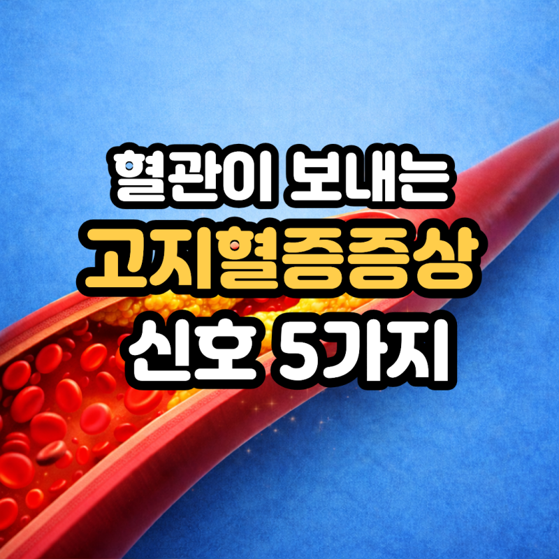 혈관이 보내는 고지혈증증상 신호 5가지 : 네이버 블로그