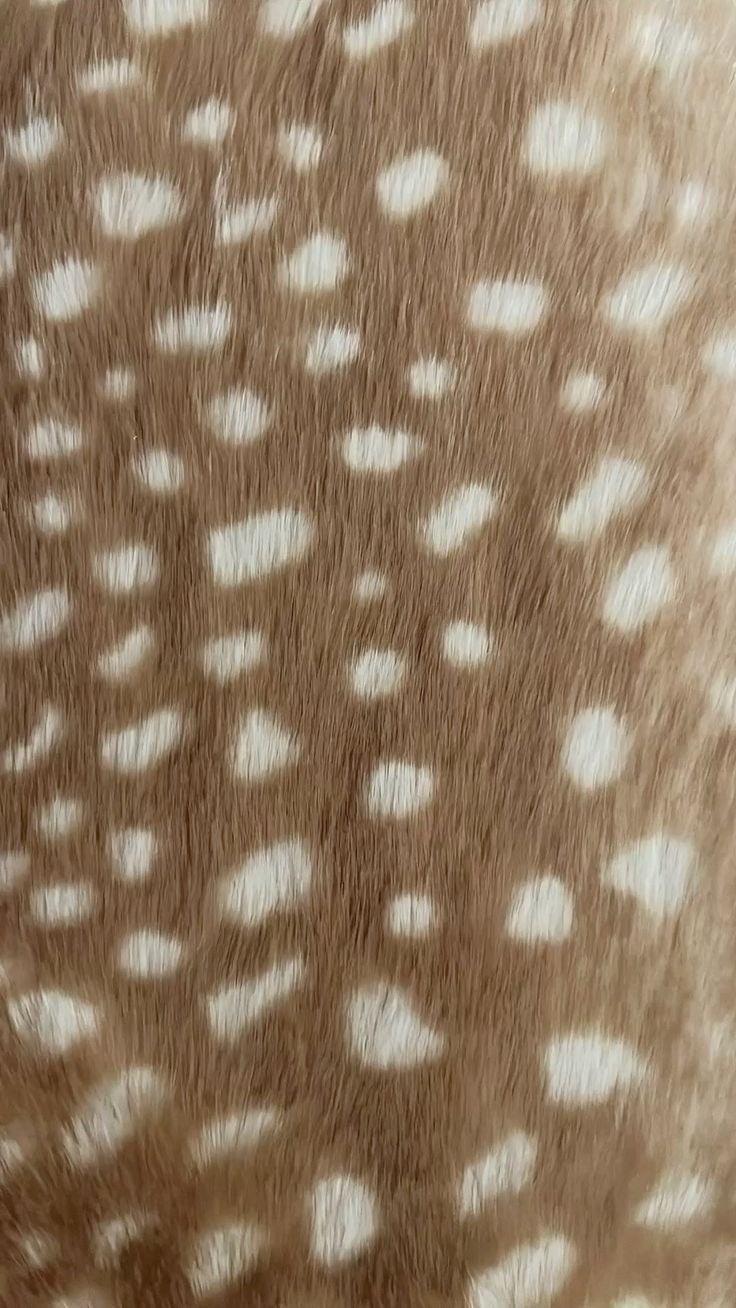 dark red : 네이버 블로그