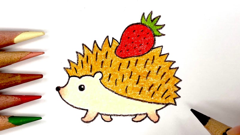 How to Draw Hedgehog | Easy Cute Follow Along Colored Pencil Drawing ...