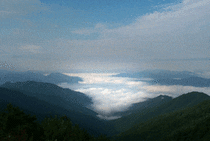 수정금[水晶琴]연주 - Wang Sheng Di : 네이버 블로그