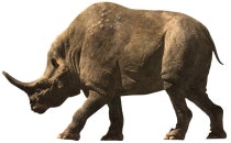 브론토티어 [Brontothere] : 네이버 블로그