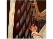 전자하프 Hilary Stagg [A Tribute] : 네이버 블로그