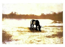 갑자기 Peter Doig : 네이버 블로그