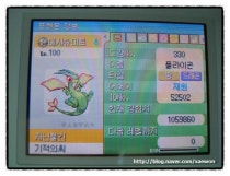 xaewon 의 실전멤버 6 마리 : 네이버 블로그