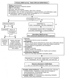 ACLS Guideline : 네이버 블로그