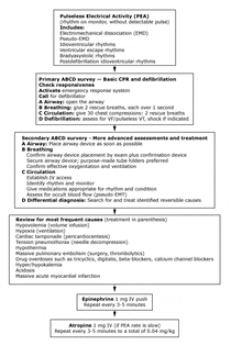 ACLS Guideline : 네이버 블로그